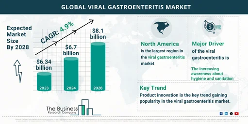 Global Viral Gastroenteritis Market Size and Growth: Infographic Global Viral Gastroenteritis Market Size and Growth: Infographic