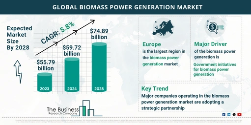 Global Biomass Power Generation Market Size and Growth: Infographic