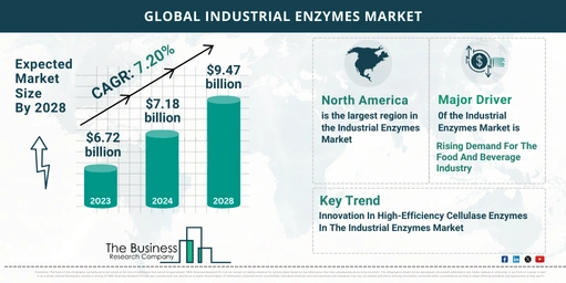Global Industrial Enzymes Market Size and Growth: Infographic