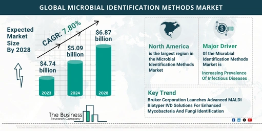 Global Microbial Identification Methods Market Size and Growth: Infographic