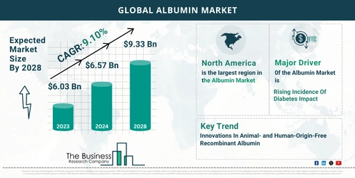 Global Albumin Market Size and Growth: Infographic