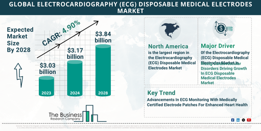 Global Electrocardiography (ECG) Disposable Medical Electrodes Market Size and Growth: Infographic
