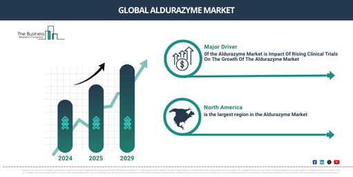 Global Aldurazyme Market Size and Growth: Infographic