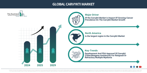 Global Carvykti Market Size and Growth: Infographic