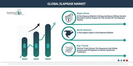 Global Elaprase Market Size and Growth: Infographic
