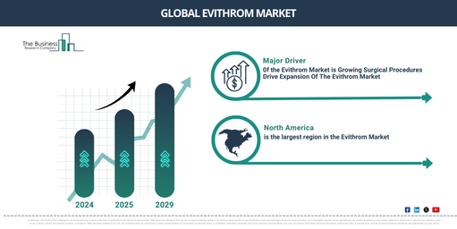 Global Evithrom Market Size and Growth: Infographic