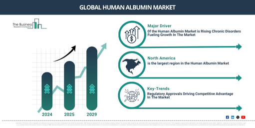 Global Human Albumin Market Size and Growth: Infographic