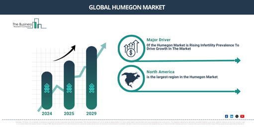 Global Humegon Market Size and Growth: Infographic