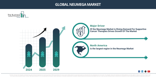 Global Neumega Market Size and Growth: Infographic