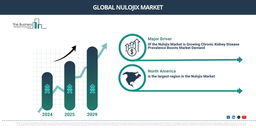 Global Nulojix Market Size and Growth: Infographic