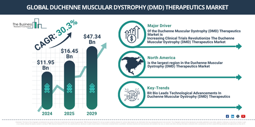 Global Duchenne Muscular Dystrophy (DMD) Therapeutics Market Size and ...