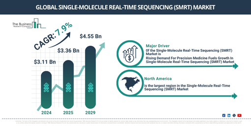 Global Single-Molecule Real-Time Sequencing (SMRT) Market Size and Growth: Infographic