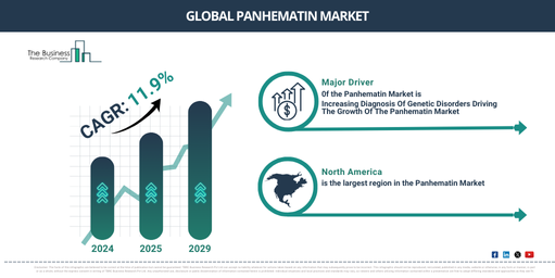 Global Panhematin Market Size and Growth: Infographic