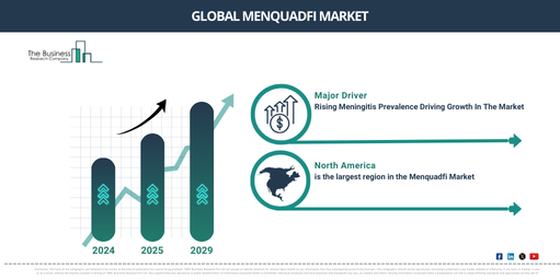 Global Menquadfi Market Size and Growth: Infographic