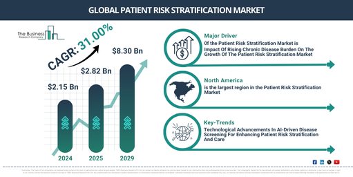 Global Patient Risk Stratification Market Size and Growth: Infographic