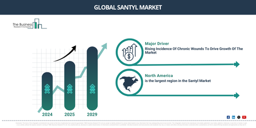 Global Santyl Market Size and Growth: Infographic