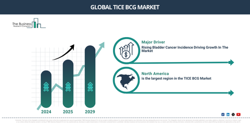 Global TICE BCG Market Size and Growth: Infographic