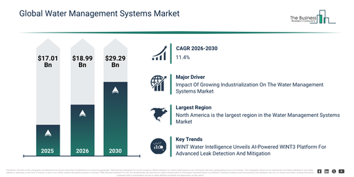 Global Water Management Systems Market Size and Growth: Infographic