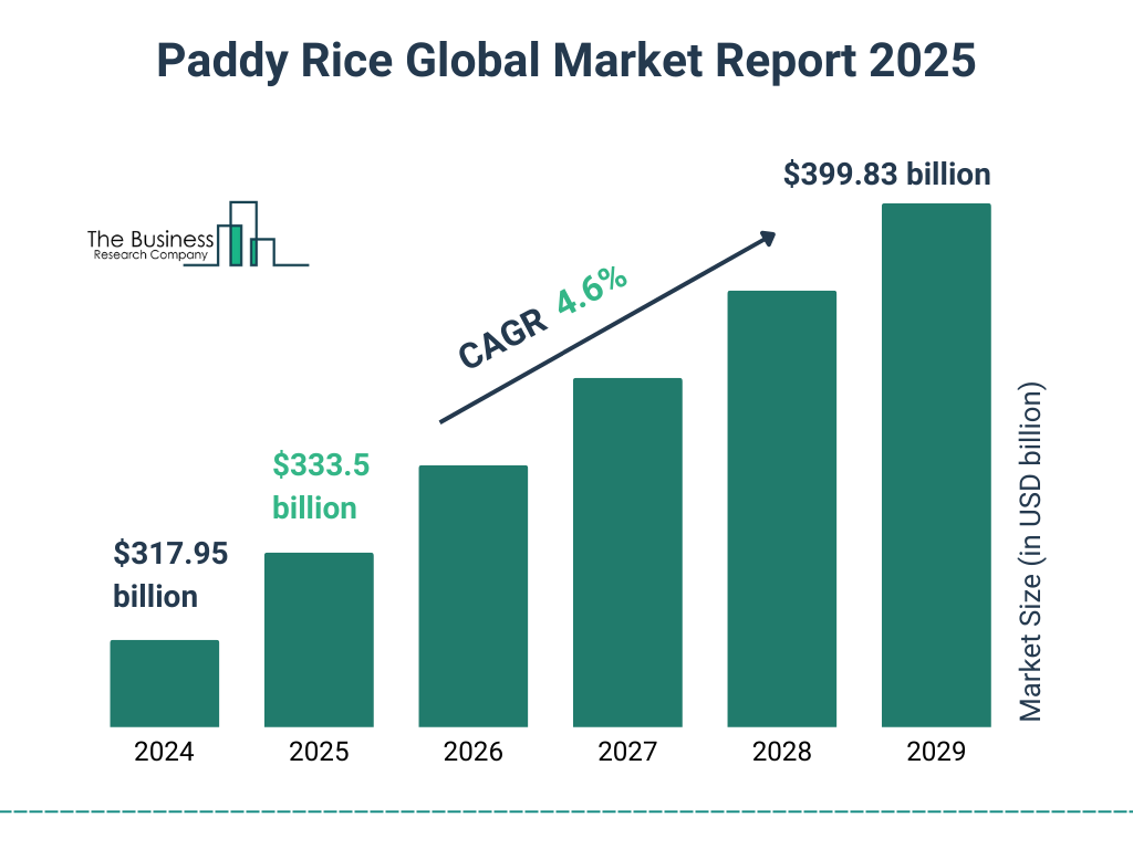 Paddy Rice Market Report 2025, Size And Insights By 2034