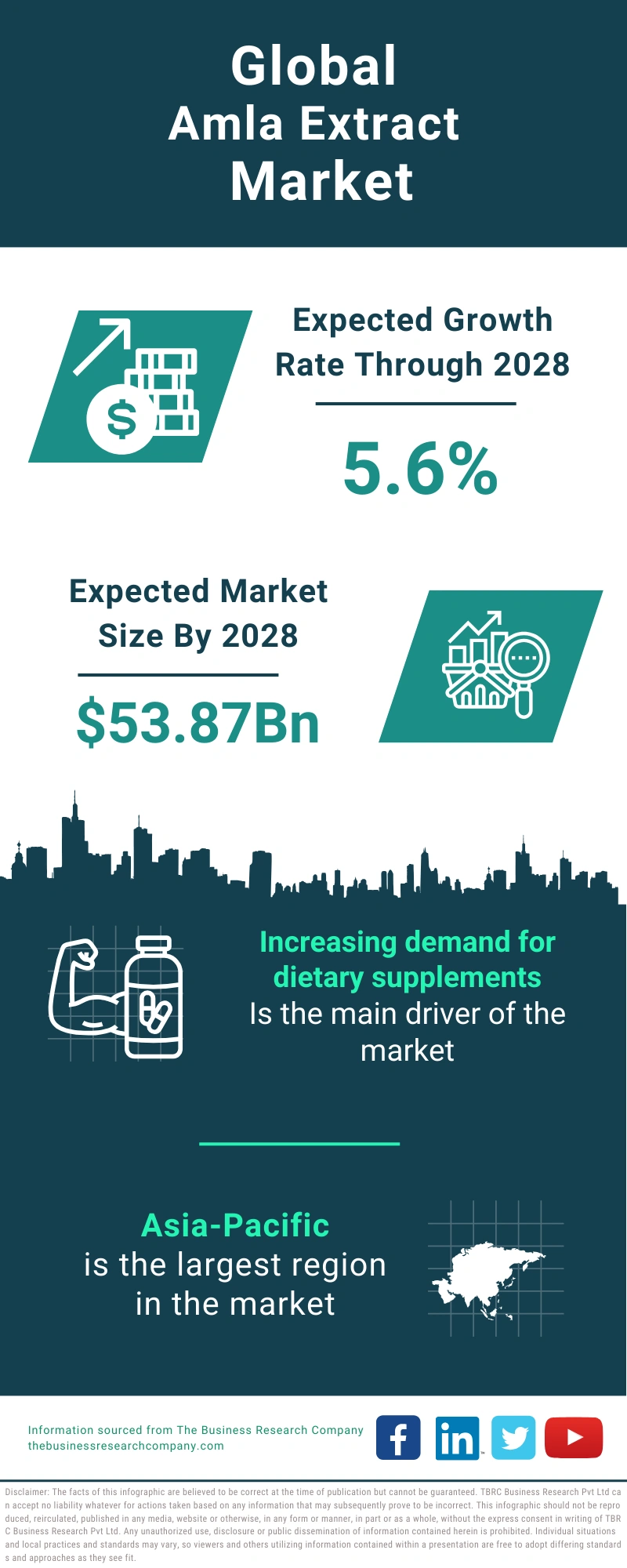 Amla Extract Market 2024 Growth and Future: Infographic