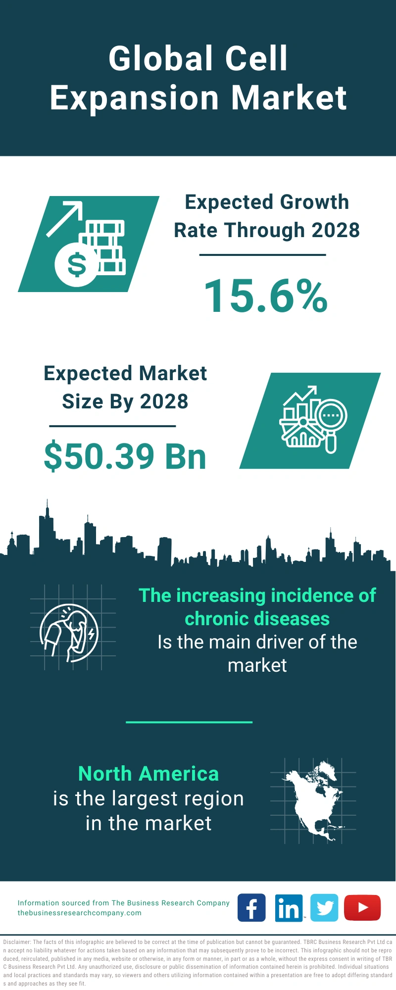 Cell Expansion Market 2024 Growth and Future: Infographic