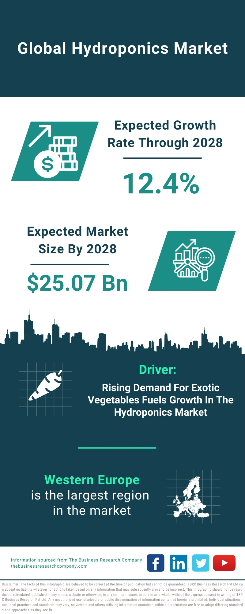 Hydroponics Market 2024 Growth and Future: Infographic