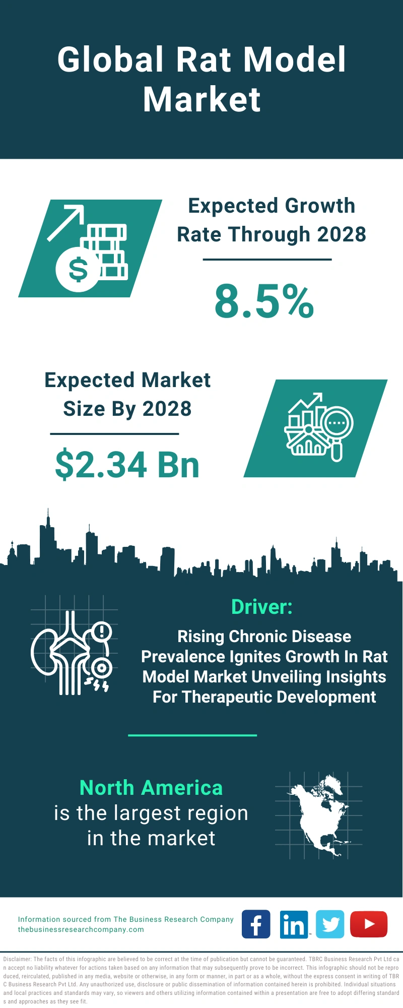 Rat Model Market Size, Share, Growth Drivers, Trends And Industry ...