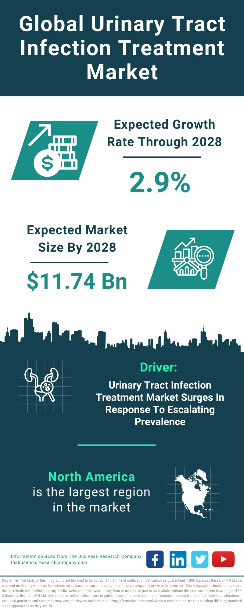 Urinary Tract Infection Treatment Market Report 2024 Urinary Tract