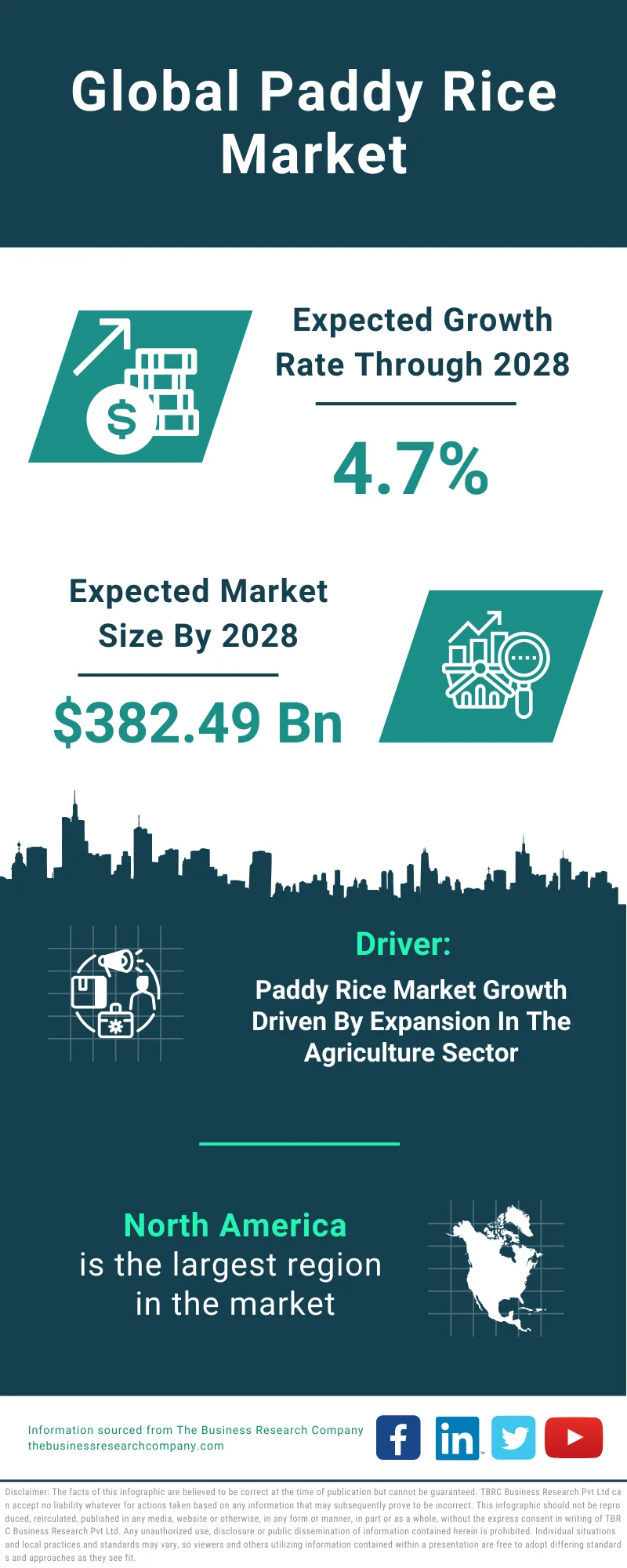Paddy Rice Market 2024 Growth and Future: Infographic