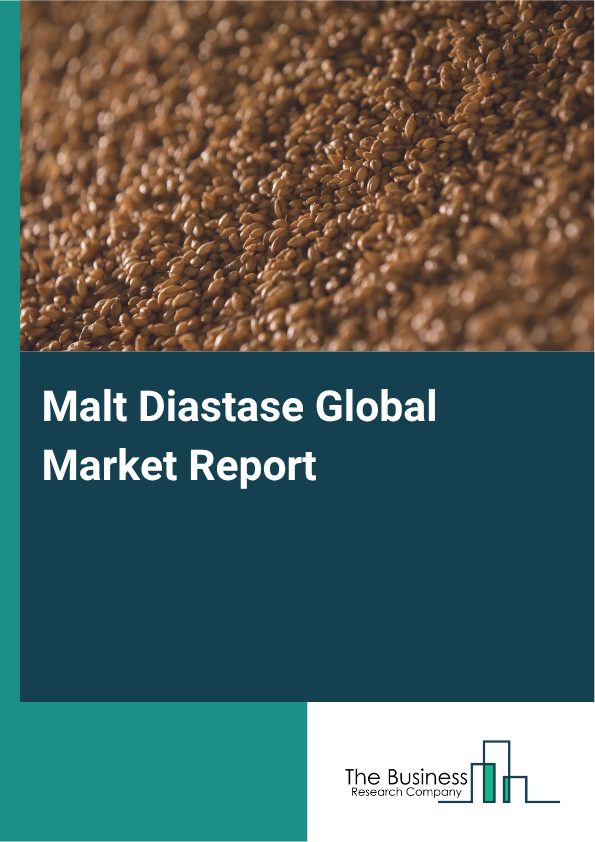 Malt Diastase Market | Global Industry Analysis by 2025-2034