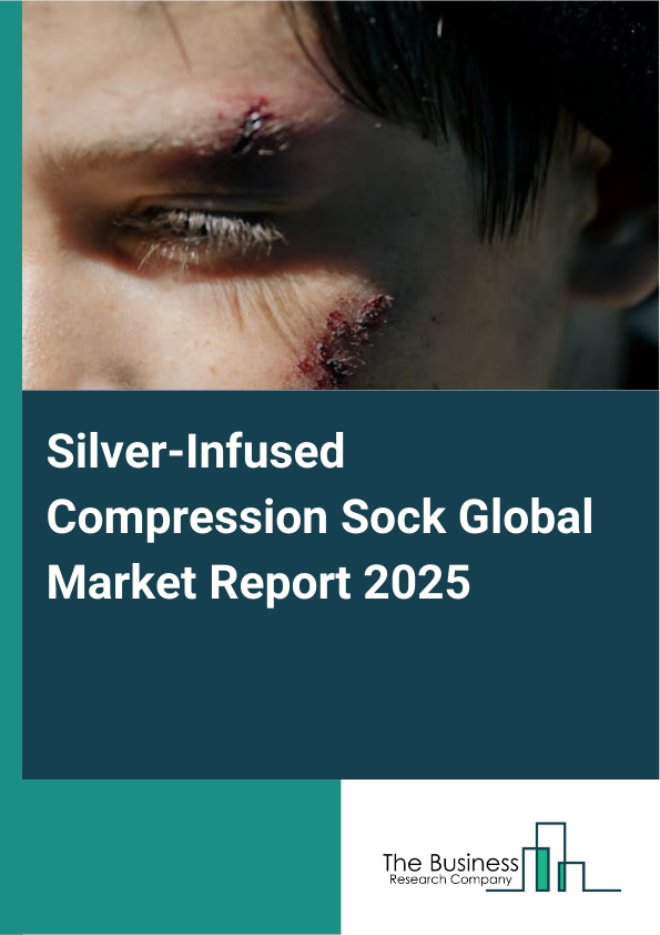 Silver-Infused Compression Sock Market Report 2034 - Market Insights